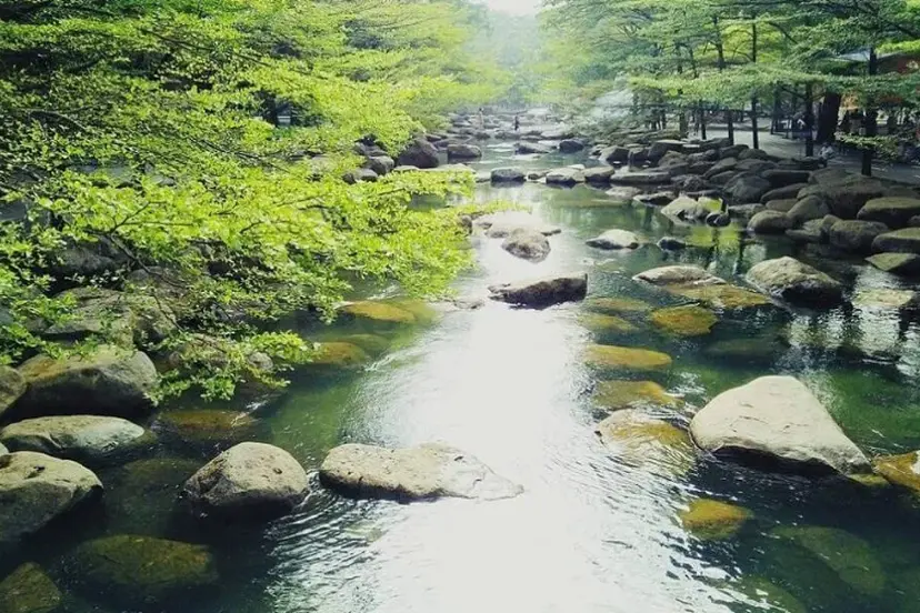 Bình Dương ở miền nào? Khám phá những địa điểm check-in nổi tiếng