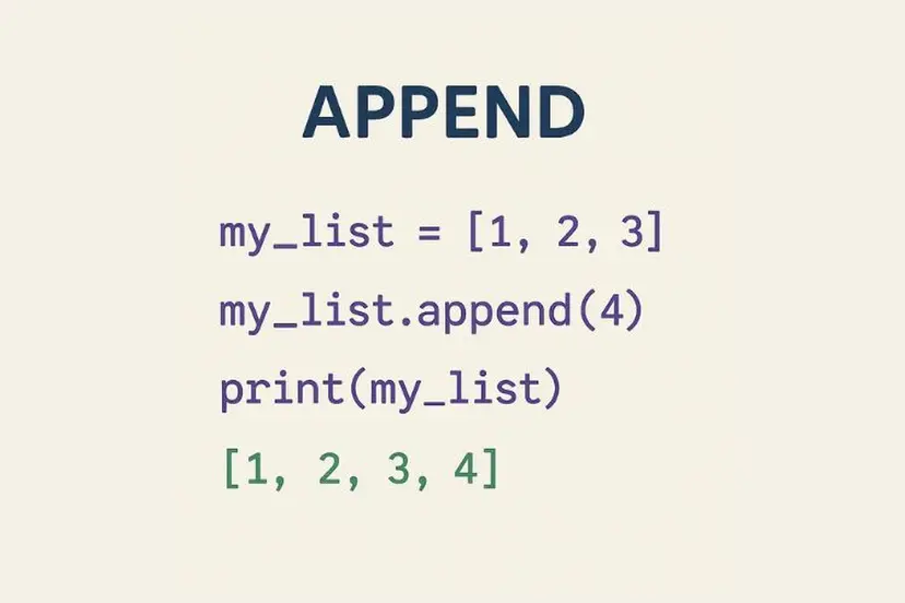 Append trong Python là gì? Ứng dụng phương thức Append như thế nào?