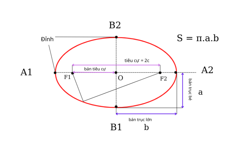 Diện tích elip: Trọn bộ công thức kết hợp bài tập thực hành hữu ích