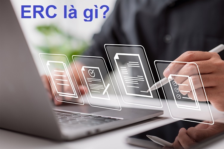 ERC là gì? Phân biệt ERC, IRC và vai trò đối với doanh nghiệp