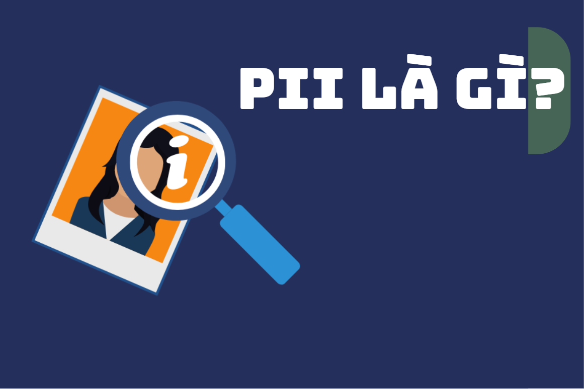 PII là gì? Vì sao PII quan trọng và bạn cần phải bảo vệ dữ liệu cá nhân ...