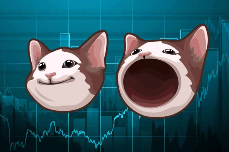 Pop Cat là gì? Lý do tại sao cộng đồng chơi game lại thích?