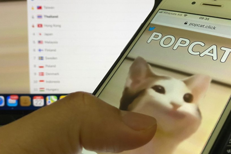 Pop Cat là gì? Lý do tại sao cộng đồng chơi game lại thích?