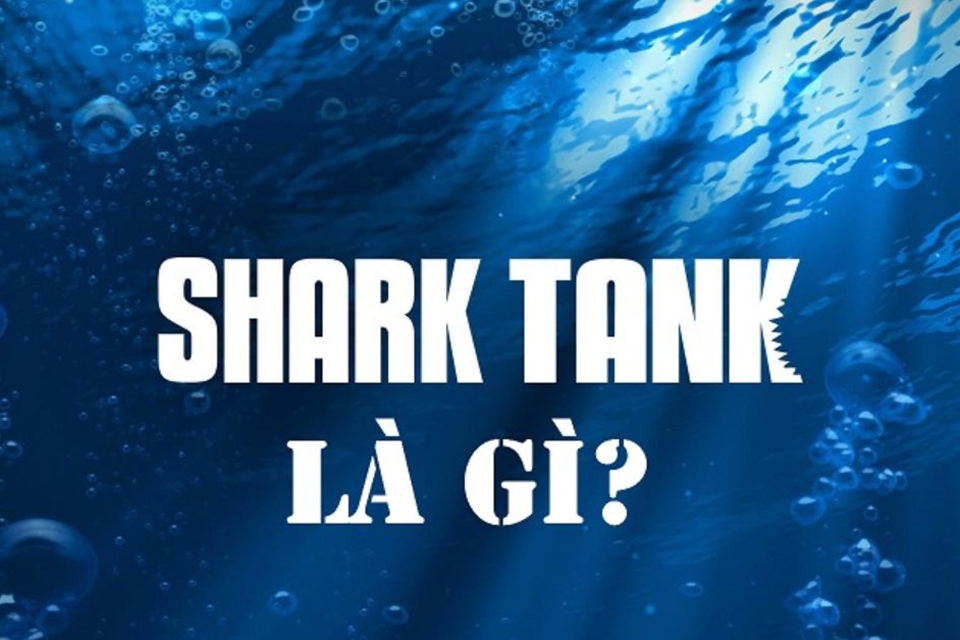 Shark là gì? Khám phá sức cuốn hút của chương trình Shark Tank Việt Nam