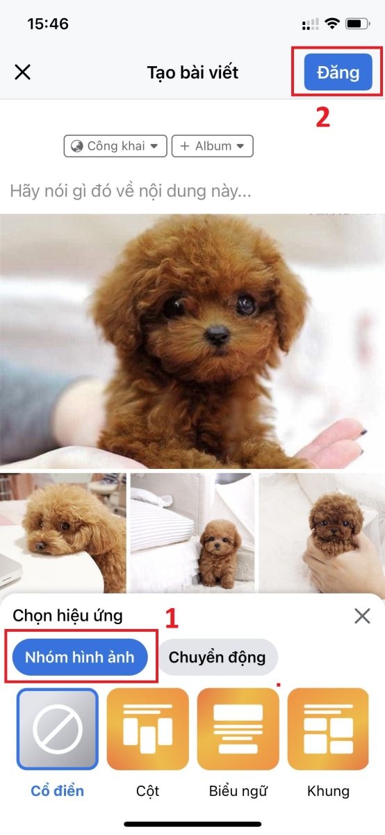 Cách khắc phục Facebook không có bố cục với vài bước