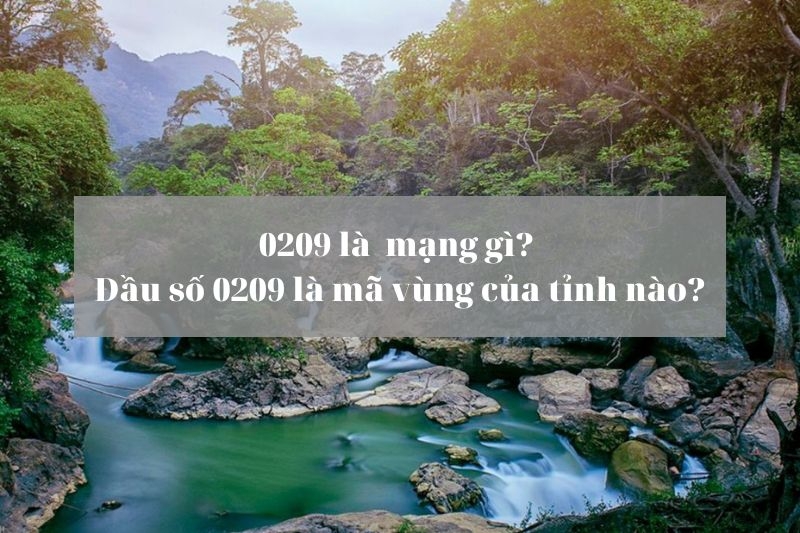 0209 là mạng gì? Khám phá đầu số 0209