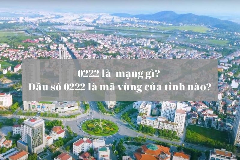 0222 là mạng gì? Đầu số 0222 là mã vùng ở đâu? Có lừa đảo không?