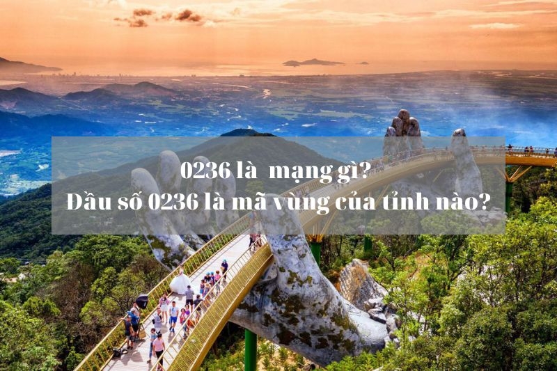 0236 là mạng gì? Đầu số 0236 là mã vùng ở đâu?