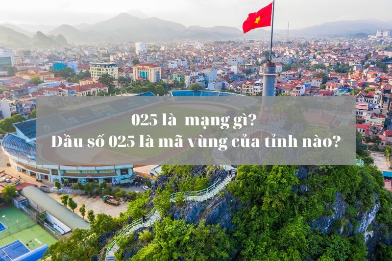 025 là mạng gì? Ở đâu? Khám phá đầu số 025