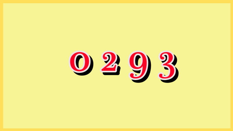 0293 là mạng gì? Ý nghĩa đầu số 0293 tốt hay xấu