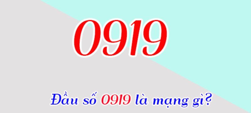0919 là mạng gì? Hé lộ ý nghĩa đầu số 0919 trong ngũ hành
