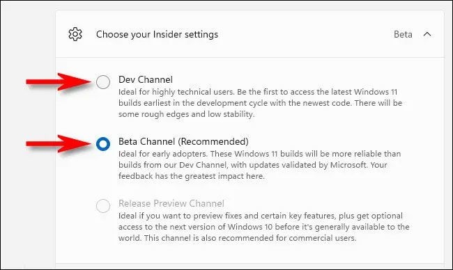Windows 11 Dev là gì? Cách chuyển Dev Channel và Beta Channel