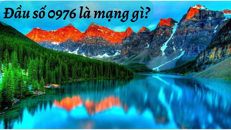 0976 là mạng gì? Giải đáp ý nghĩa đầu số 0976