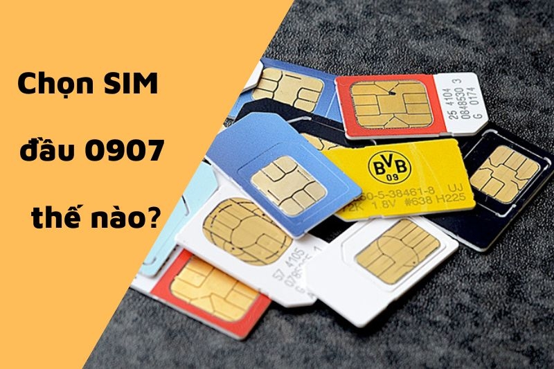 0907 là mạng gì? Hướng dẫn mua SIM đầu 0907 chính hãng, giá rẻ