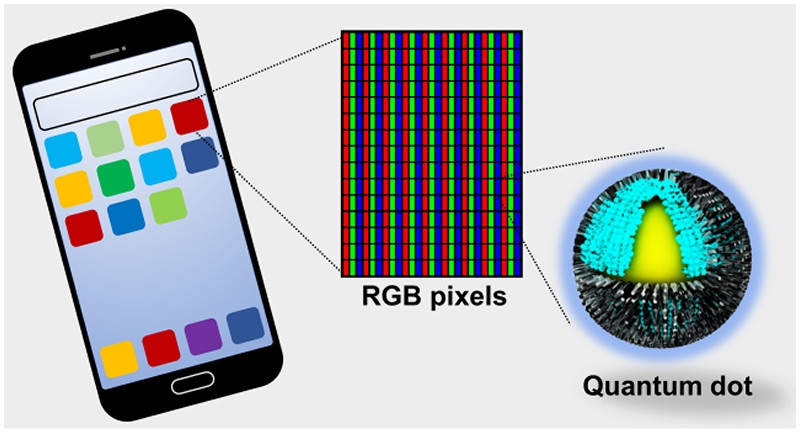 Màn hình IPS Quantum là gì? Sự khác biệt giữa các công nghệ khác