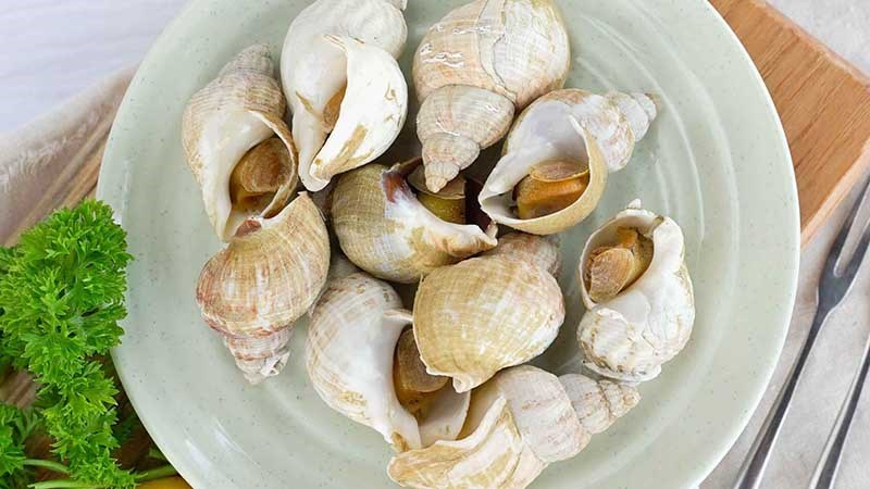 Ốc bulot là ốc gì? Giá bán bao nhiêu 1kg? Cách chế biến thơm ngon