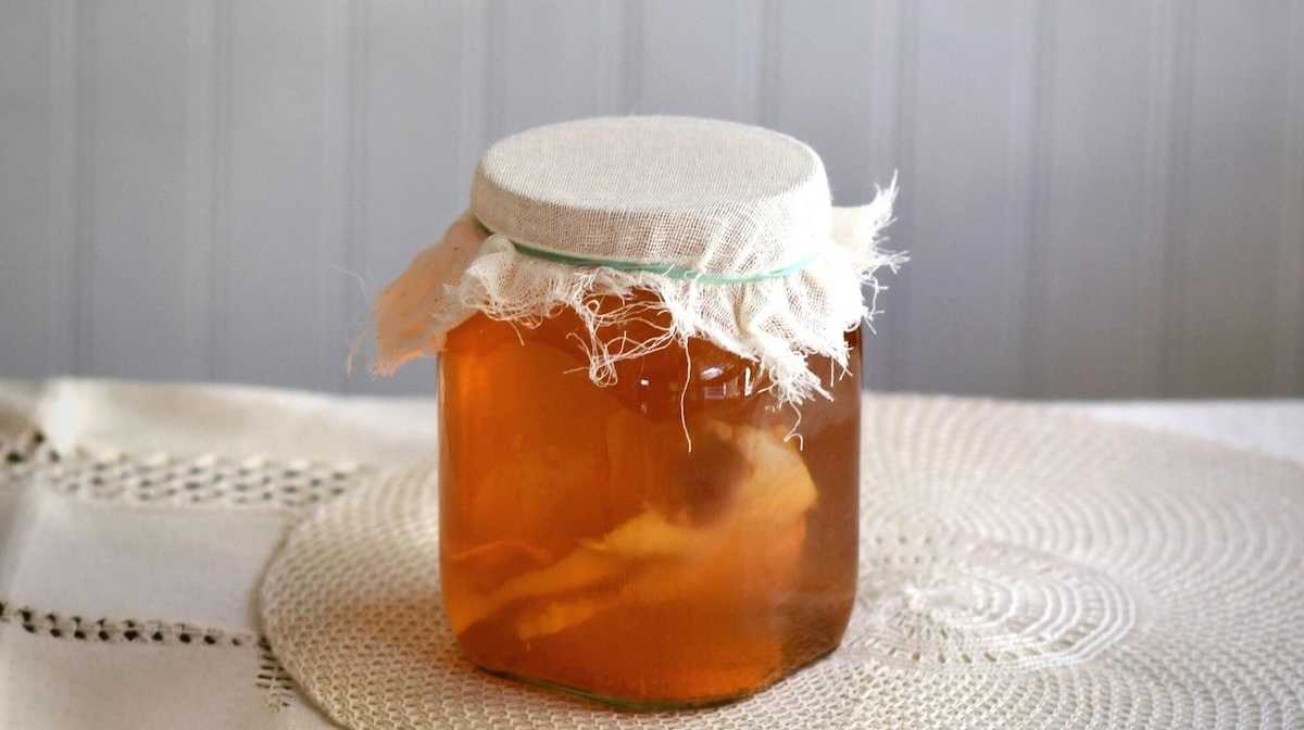 SCOBY là gì? 6 bước nuôi SCOBY và 5 bước làm trà Kombucha