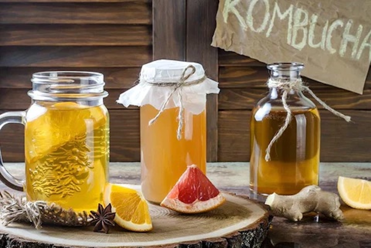 SCOBY là gì? 6 bước nuôi SCOBY và 5 bước làm trà Kombucha