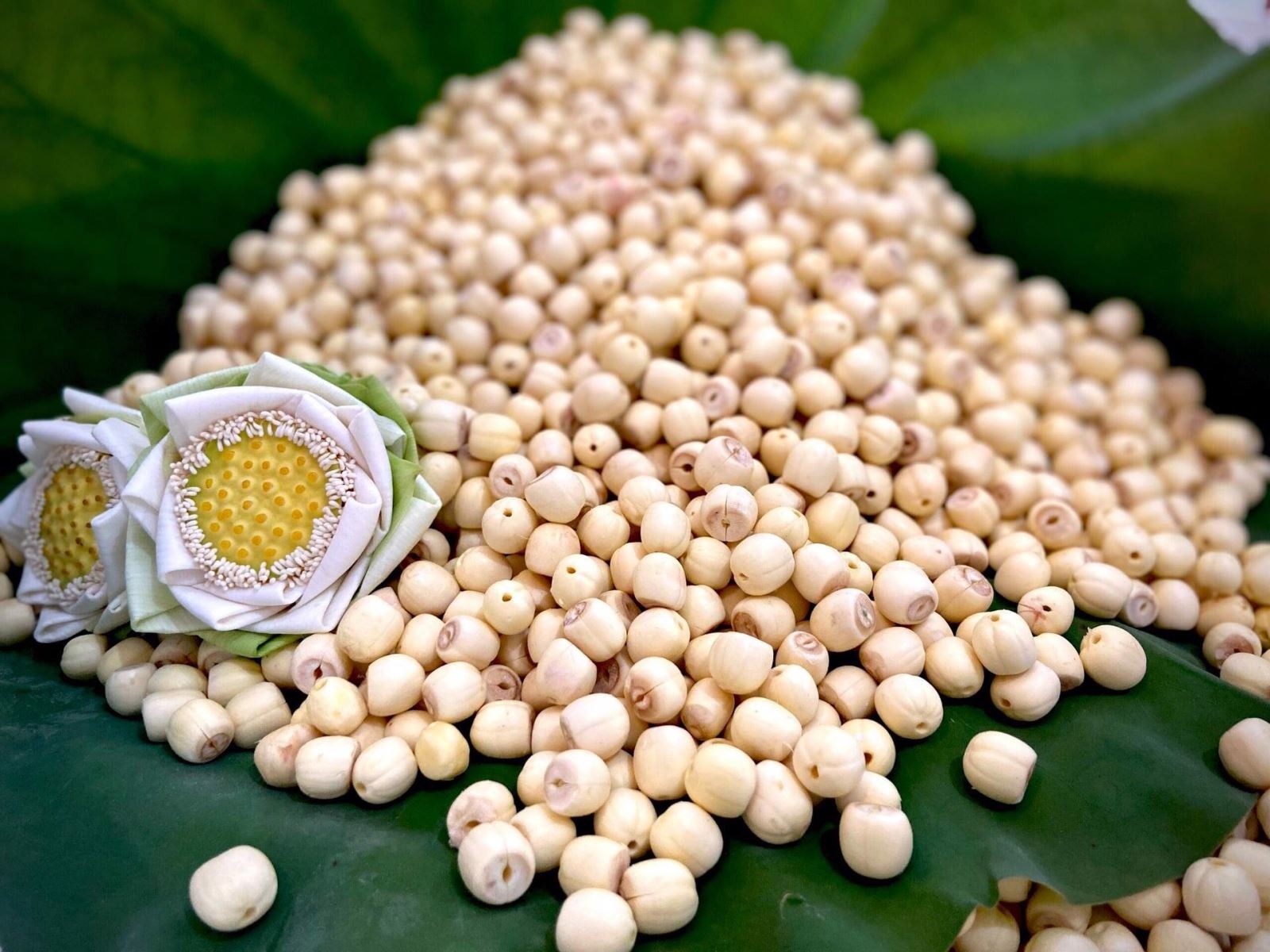 Tổng hợp các cách nấu chè hạt sen tại nhà béo ngậy thơm ngon