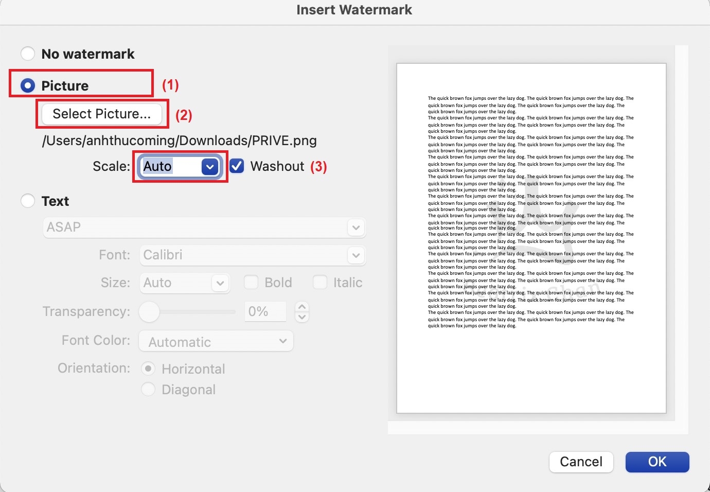 Watermark là gì? Cách chèn và xóa bỏ Watermark trong Word