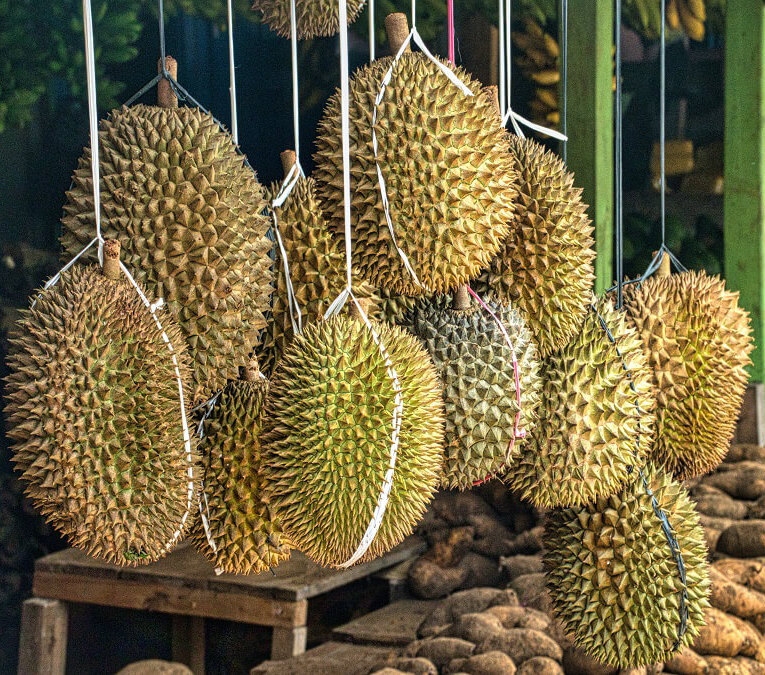 Khám phá sầu riêng Ri6: Đặc điểm, nguồn gốc và giá bán mới nhất