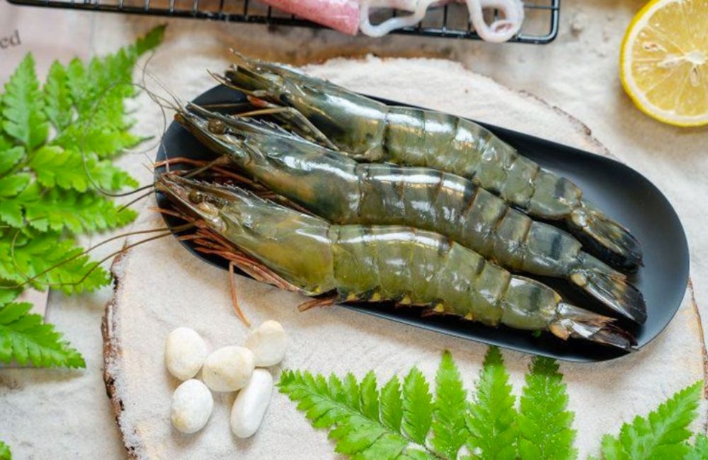 Tôm sú là tôm gì? Cùng khám phá chi tiết từ A-Z về tôm sú