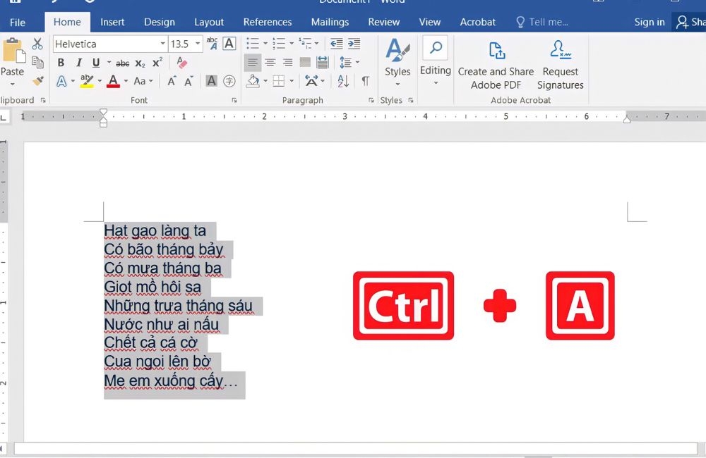 Bôi đen trong Word: Bật mí 4 cách thực hiện nhanh chóng nhất