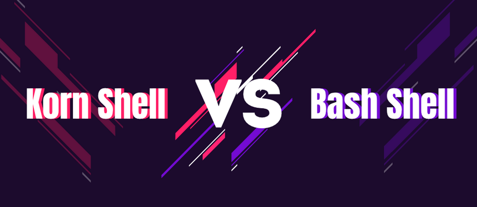 Shell là gì? Tổng hợp các loại Shell và cách sử dụng hiệu quả