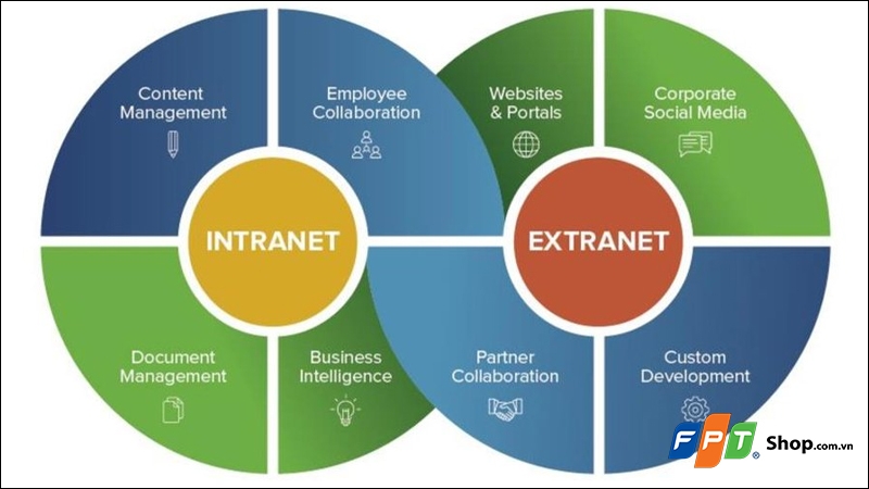 Extranet là gì? Chi tiết về ưu, nhược điểm nổi bật của Extranet