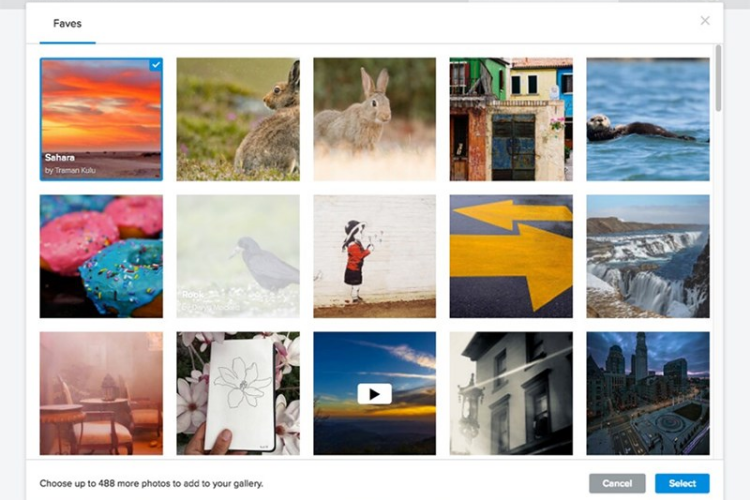 Cùng tìm hiểu Flickr là gì? Tính năng nổi bật của Flickr là gì?