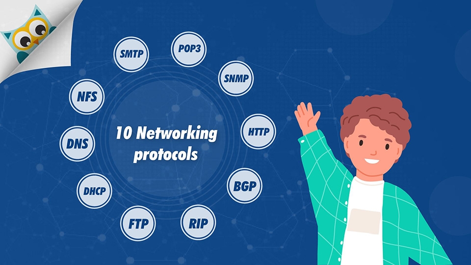 Network Protocol là gì và những thông tin quan trọng cần biết