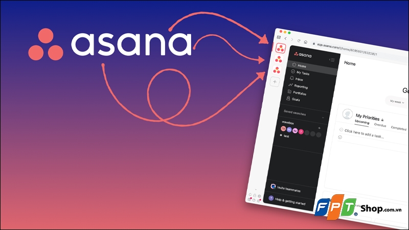 Asana là gì? Bí quyết quản lý công việc hiệu quả của doanh nghiệp