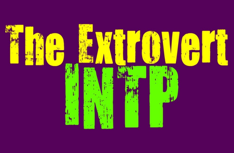 Tìm hiểu về nhóm tính cách INTP chỉ 3% dân số sở hữu