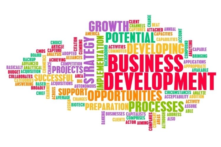 Business development là gì? Các công việc và kỹ năng cần thiết