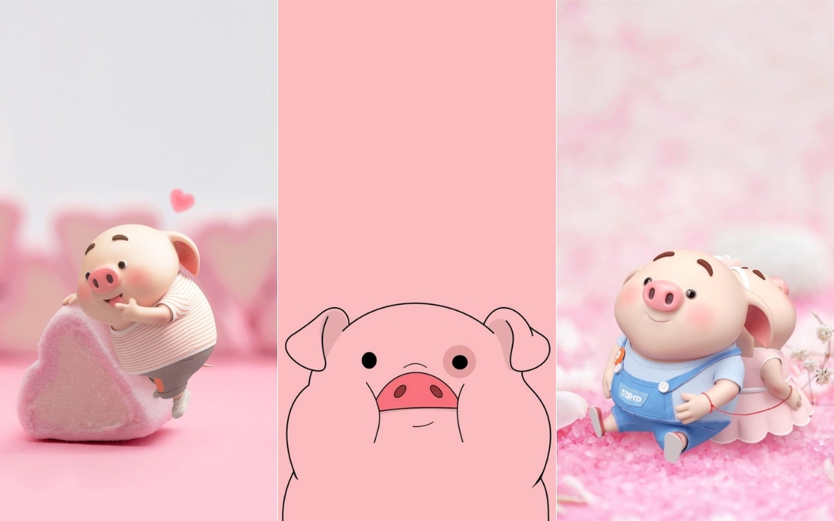 Lưu ngay 100+ hình nền con heo đáng yêu cho điện thoại, máy tính