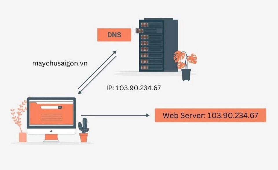 DNS là gì? Kiến thức cần biết để sử dụng DNS hiệu quả