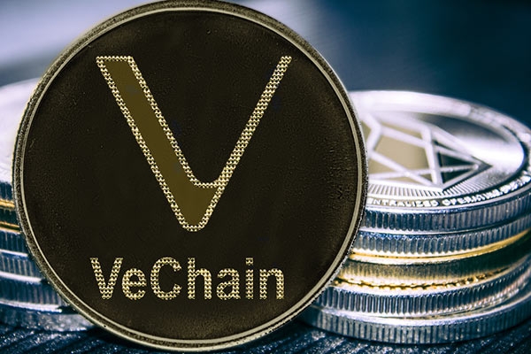 Vechain là gì? Cách mua bán, giao dịch đồng Vechain