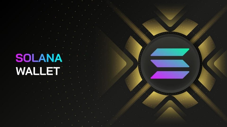 Có nên đầu tư vào Solana Coin không? Tiềm năng phát triển SOL