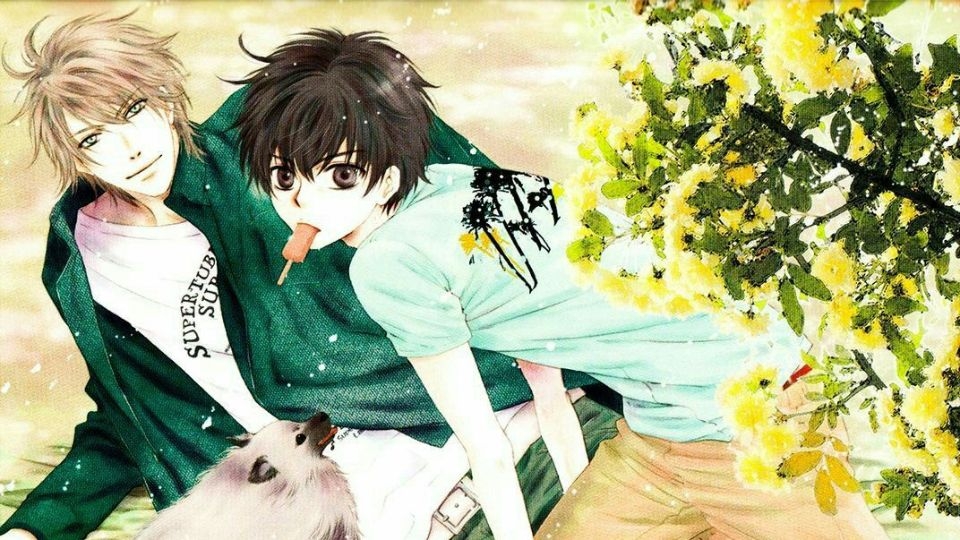 TOP 25+ bộ anime đam mỹ Nhật Bản hấp dẫn và đầy cảm xúc