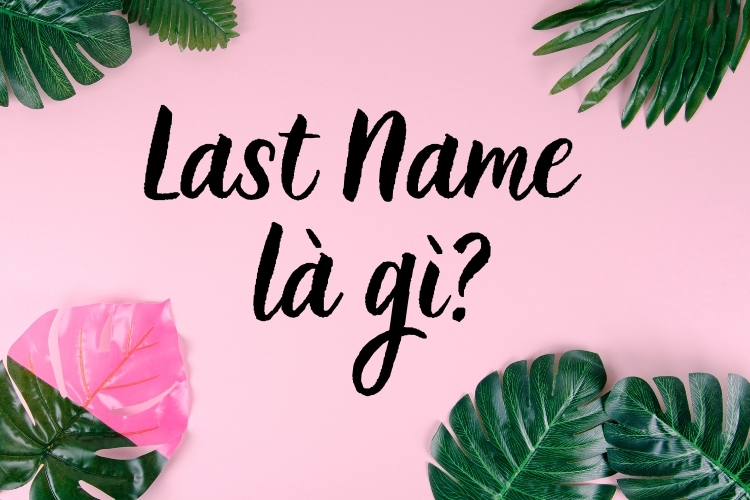 Last Name là gì? Family name, Middle name, First name, Full name