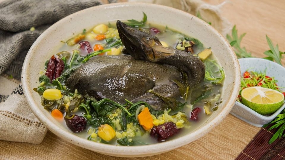 Gà ác nấu gì ngon? 11 món ăn bổ dưỡng chế biến từ gà ác