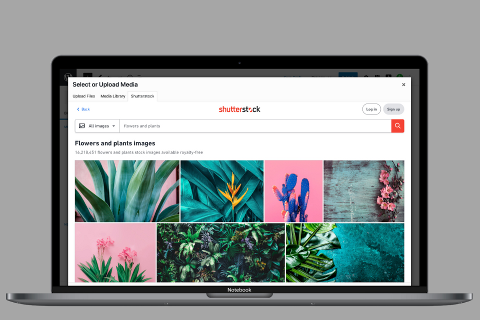 Shutterstock là gì? Hướng dẫn kiếm tiền từ Shutterstock
