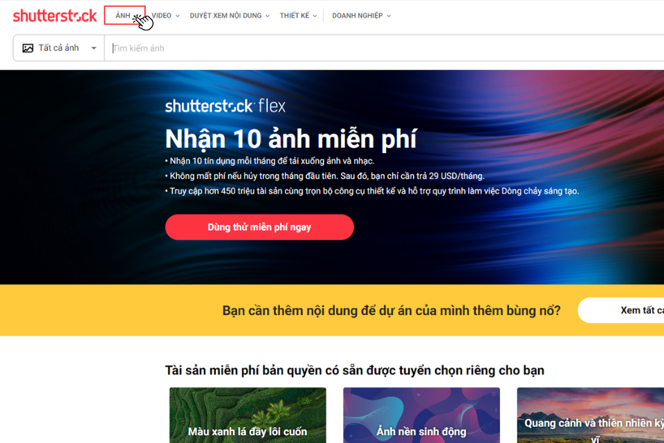 Shutterstock là gì? Hướng dẫn kiếm tiền từ Shutterstock