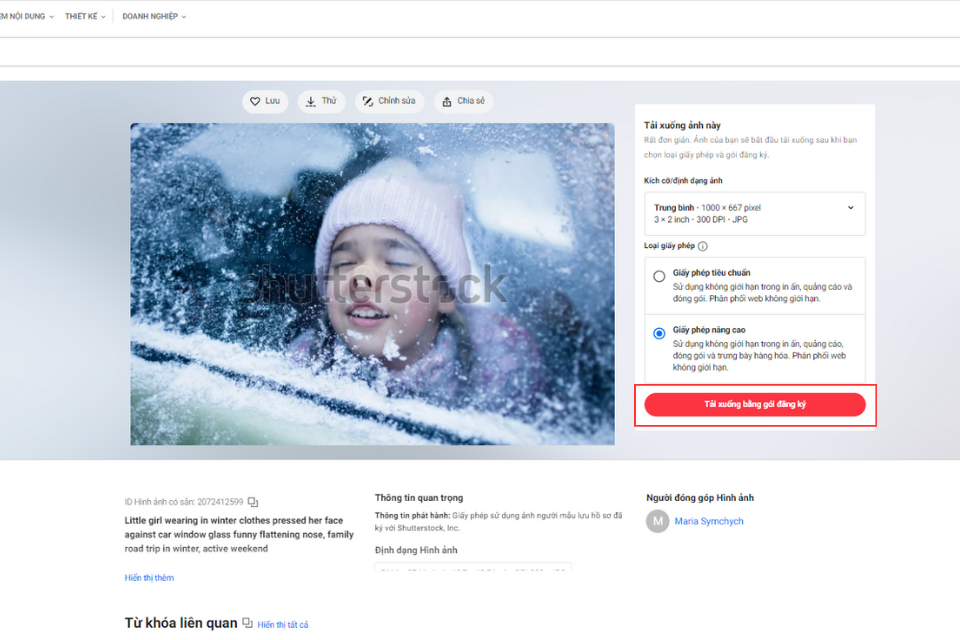 Shutterstock là gì? Hướng dẫn kiếm tiền từ Shutterstock