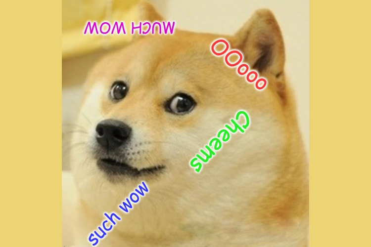 Cheems meme là gì? Tổng hợp các cheems meme hài hước nhất