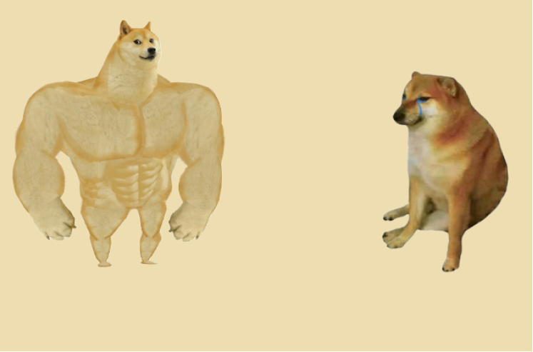 Cheems meme là gì? Tổng hợp các cheems meme hài hước nhất