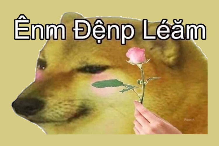 Cheems meme là gì? Tổng hợp các cheems meme hài hước nhất