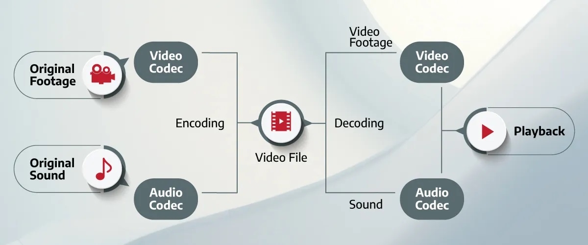 Encode là gì? Tìm hiểu khái niệm và phân loại các Encode hiện nay
