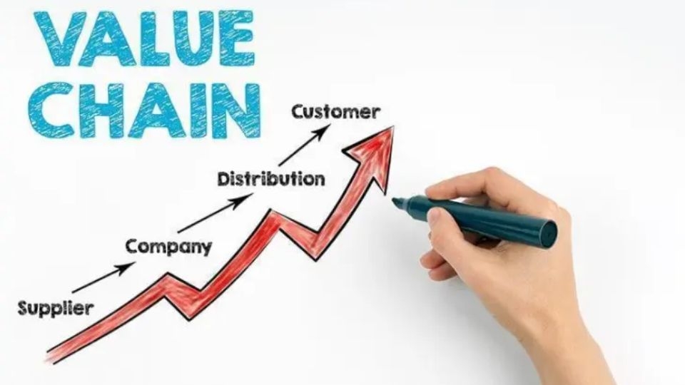 Value Chain là gì? Hiểu rõ để tối ưu hóa và tăng cường cạnh tranh