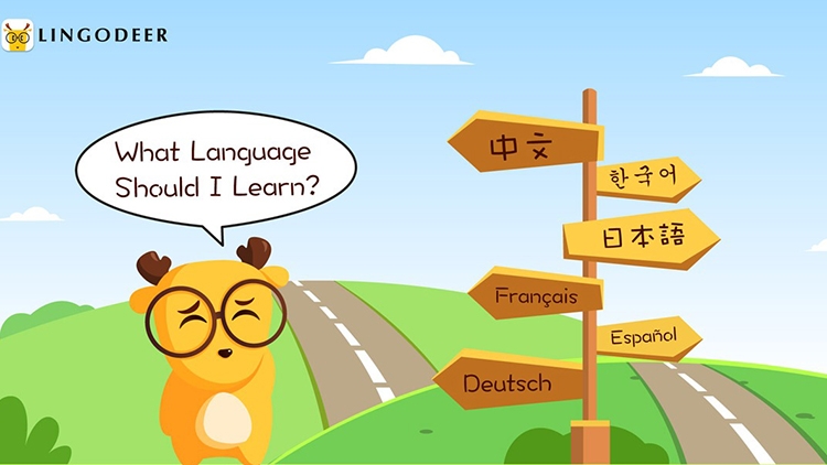 Cách tải LingoDeer - Ứng dụng học ngoại ngữ tại nhà hữu ích